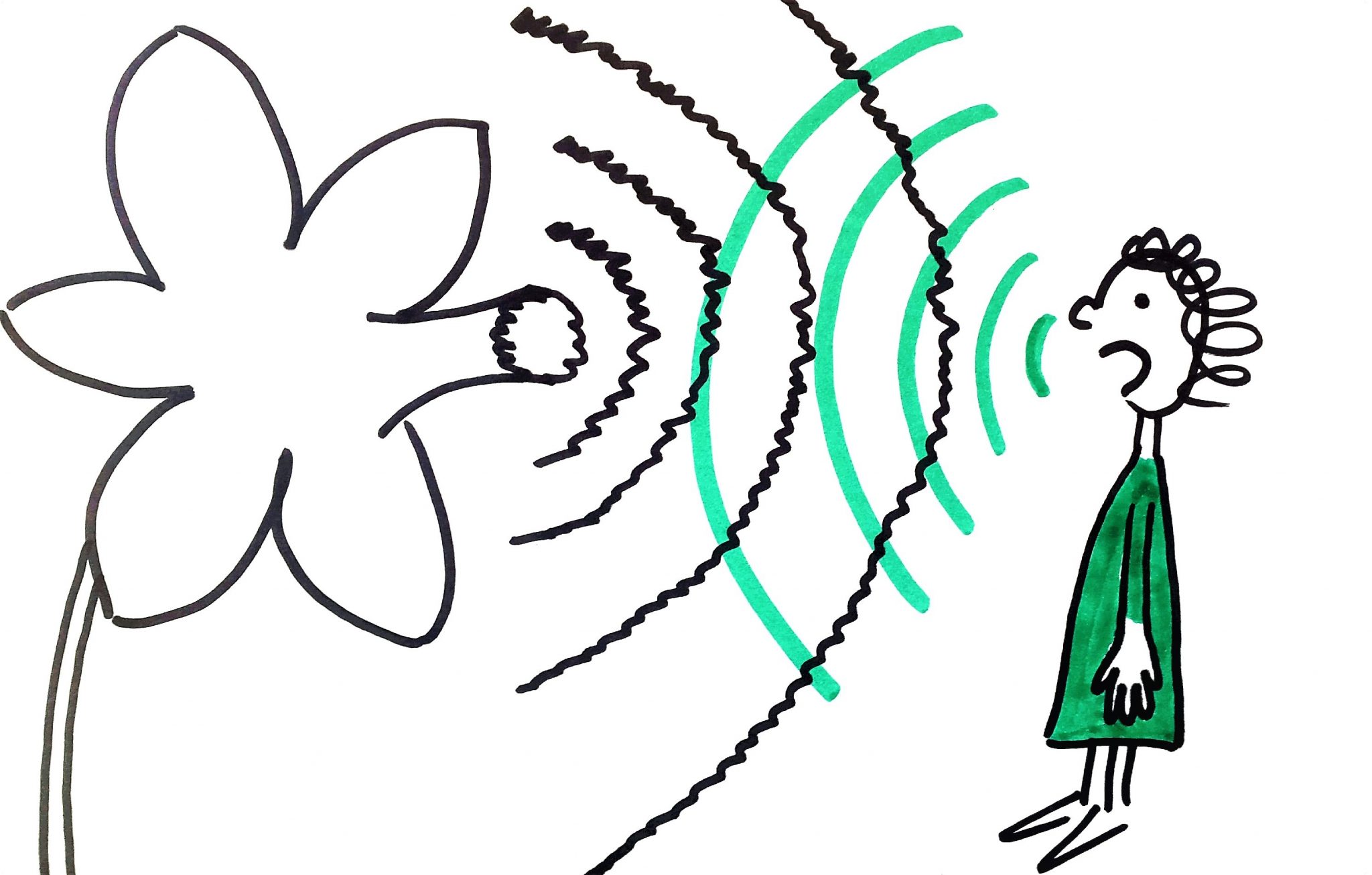 Echo - Expertenteam für Echoismus und Narzissmus - Narz mich nicht