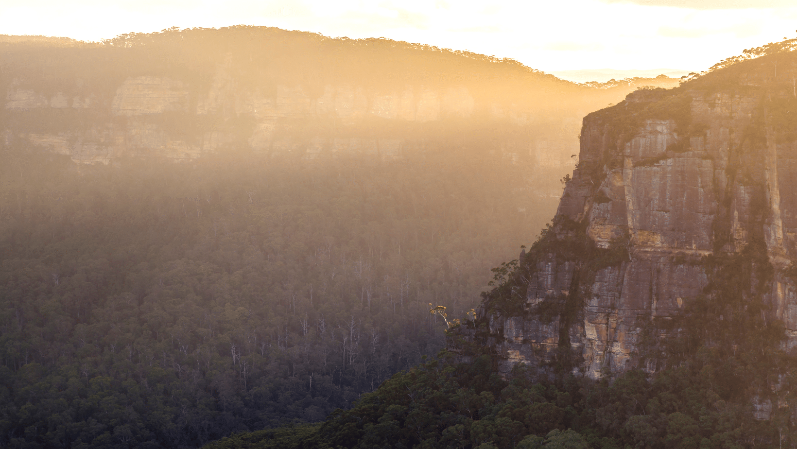 Echoismus und und er dir schadet - Blogbeitrag